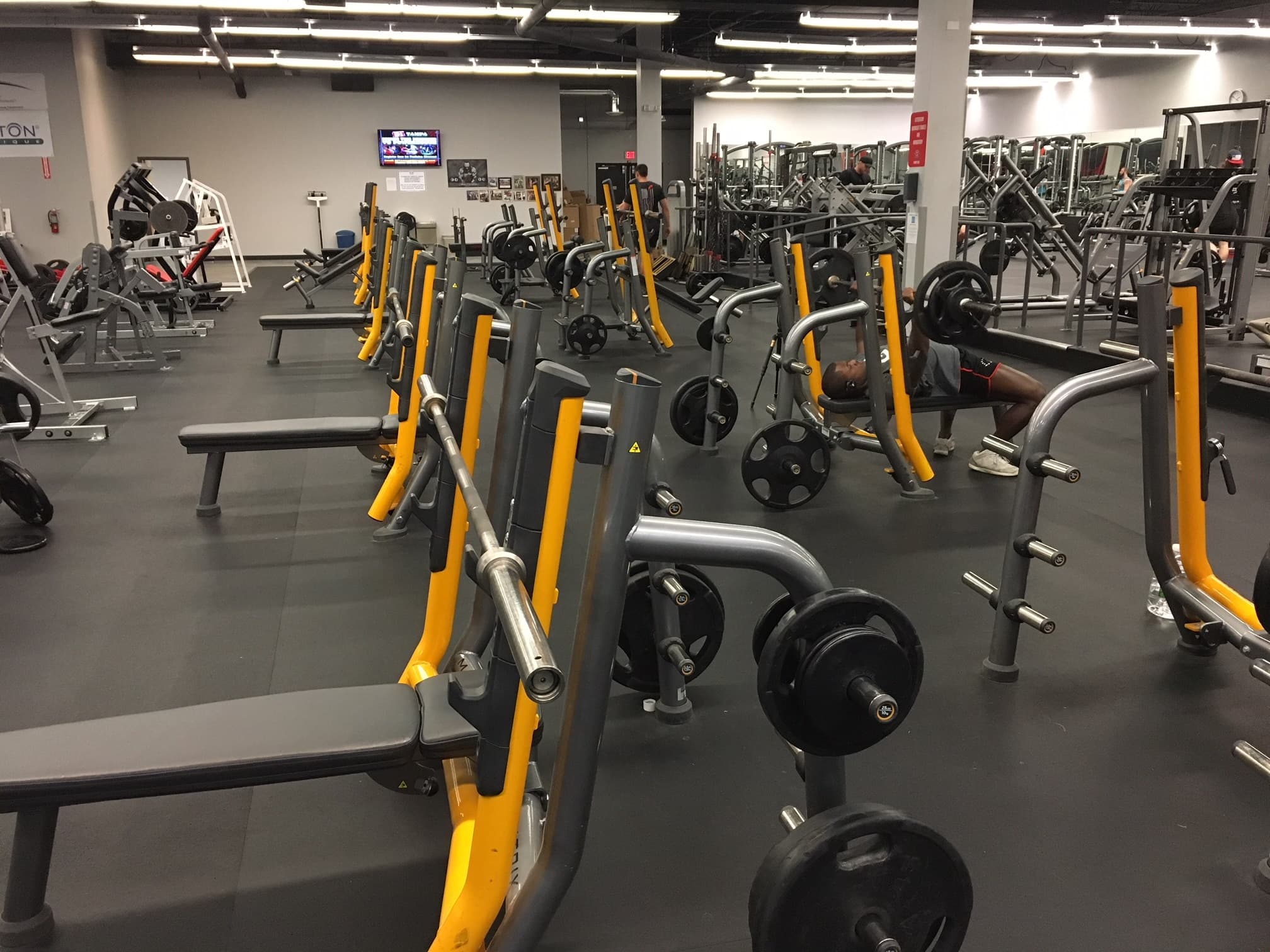 Fitness Centers In Tampa FL | Powerhouse gym Althetic Club