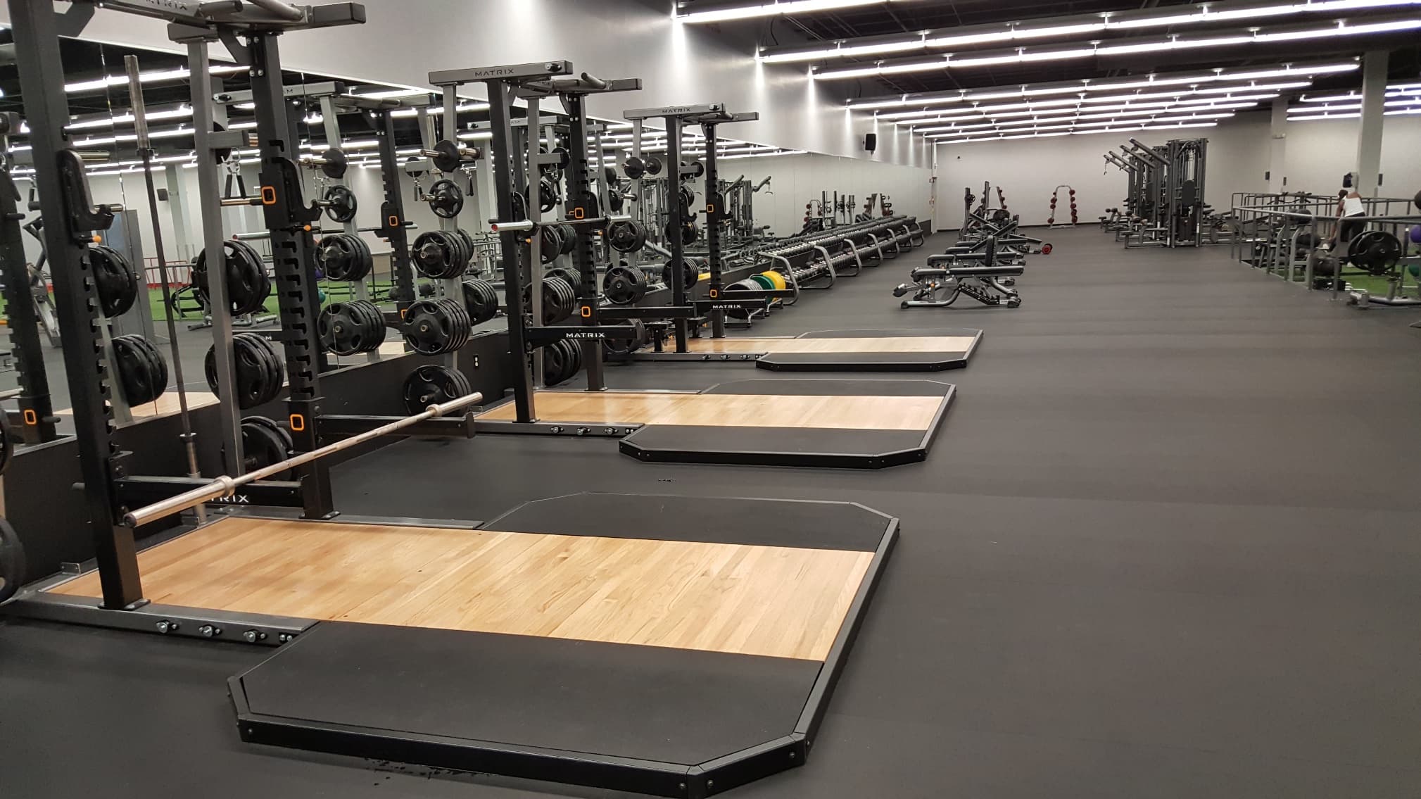 Fitness Centers In Tampa FL | Powerhouse gym Althetic Club